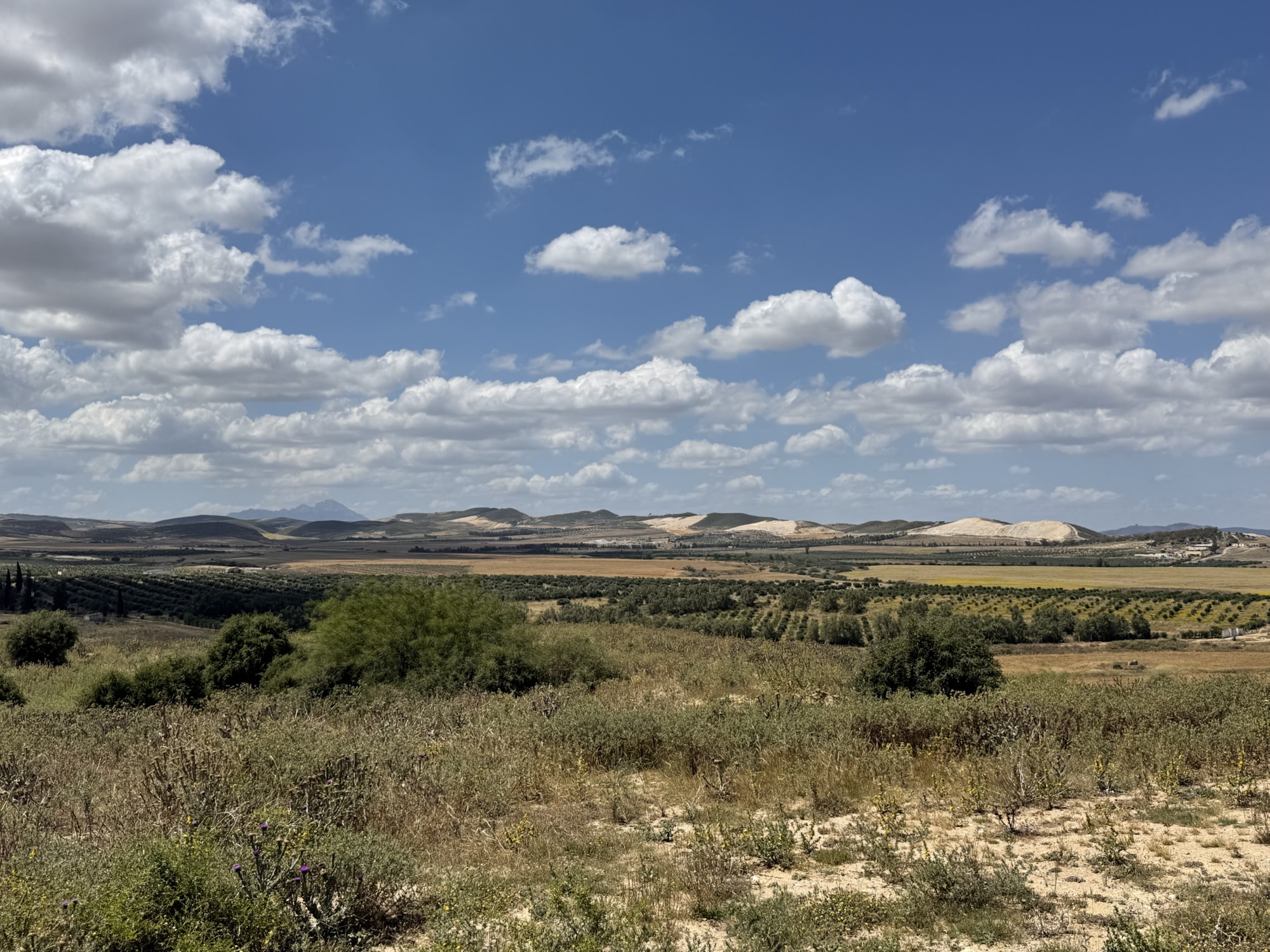 Day 33: Uthina – Sheplers see the world